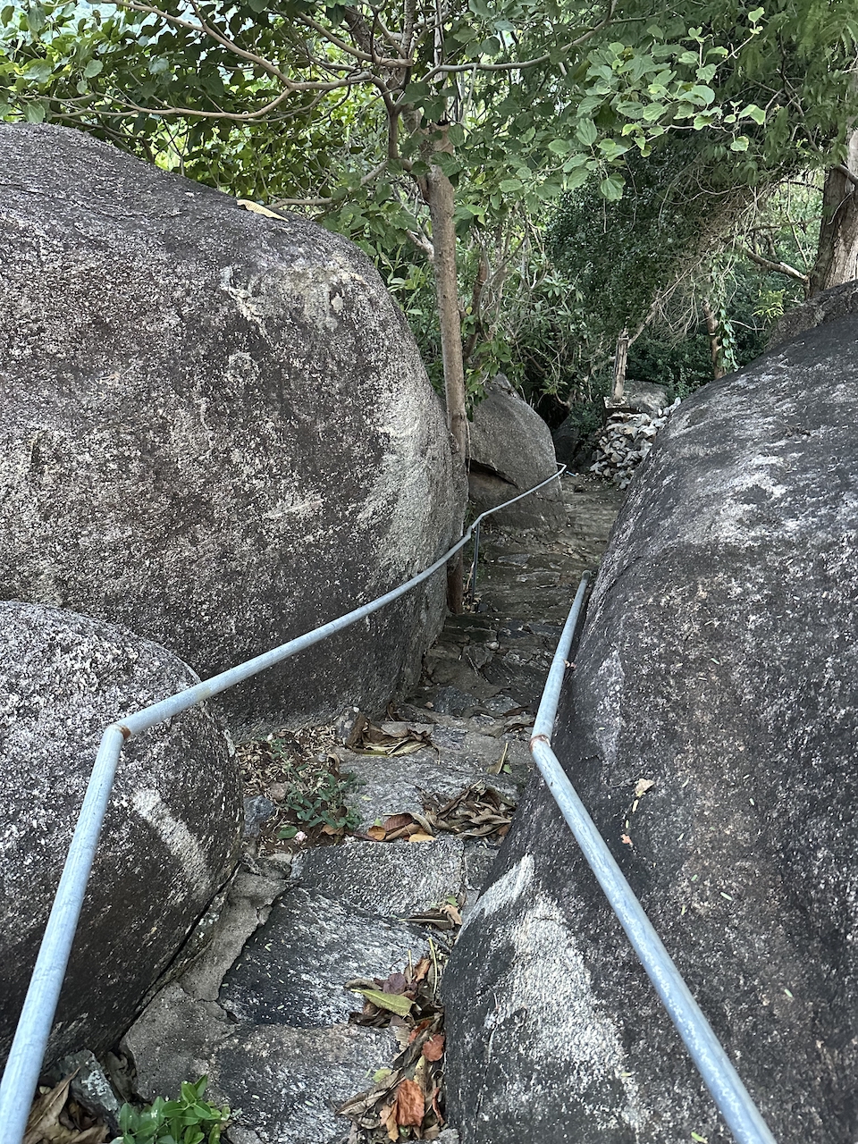 Stairs, Stairs, Stairs – Jump. Fly. Land.